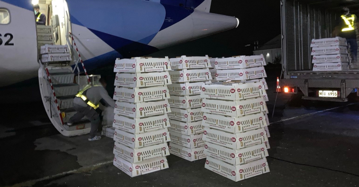 Streamline deliveries with Airspeed | Logistics Partner PH